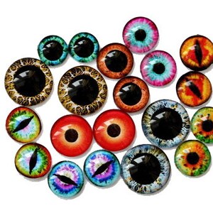 Eyes for Printing Realistic Irises Bird Eyes Bird Irises Realistic Eyes ...