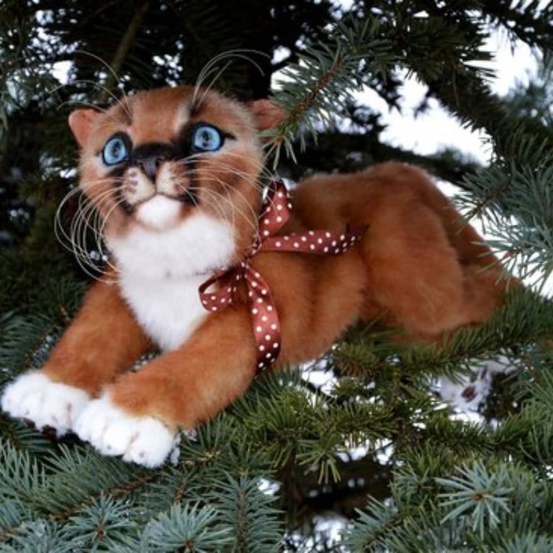 Cat Sewing Pattern Pattern Stuffed Animal Pattern Pdf-teddy - Etsy