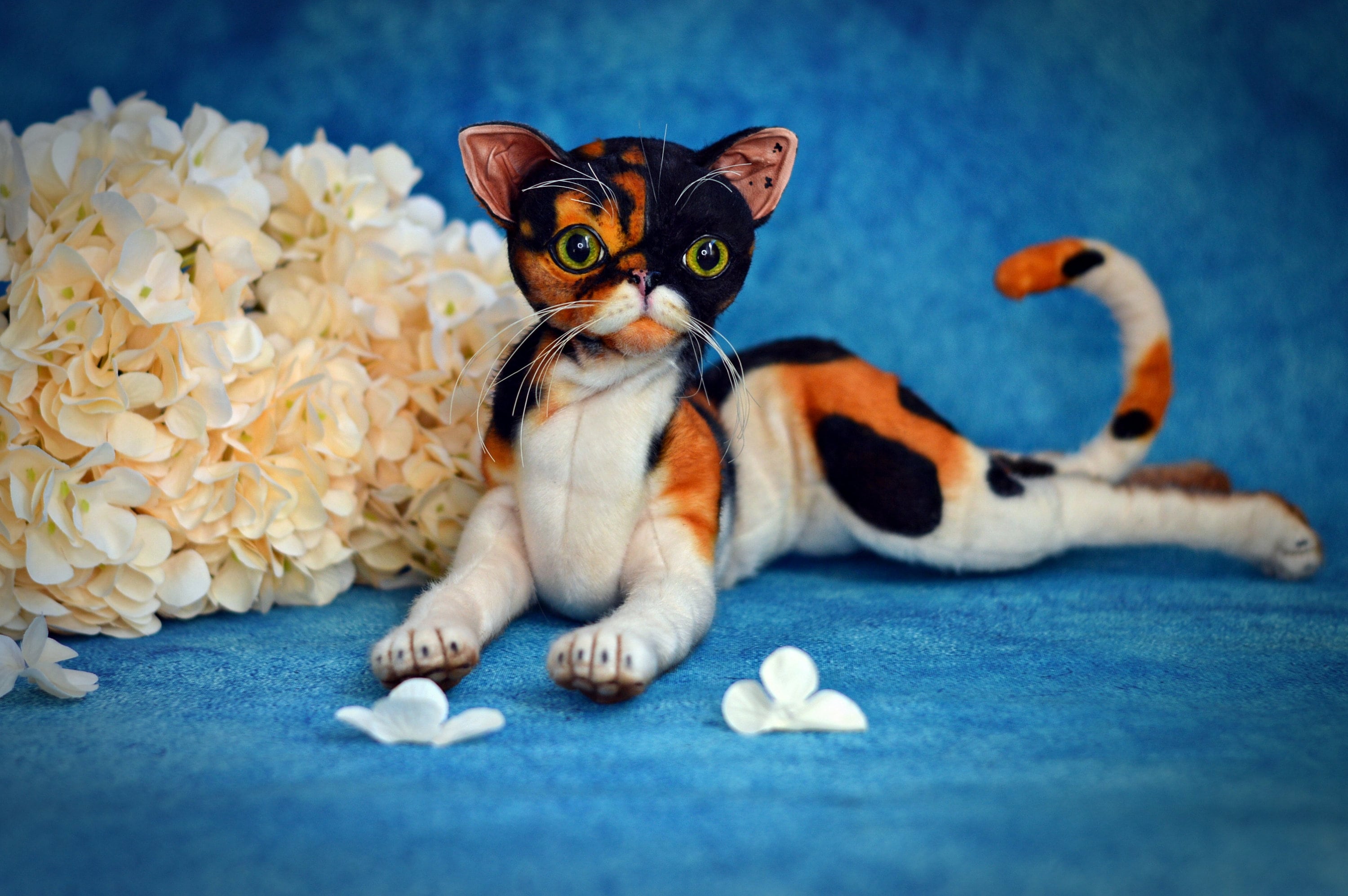 Cat Sewing Pattern Pattern Stuffed Animal Pattern Pdf-teddy - Etsy