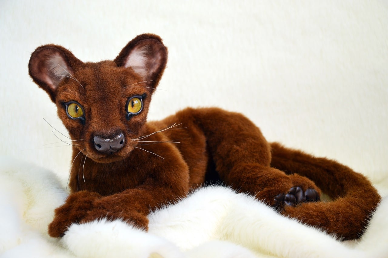 Fossa Stuffed Animal
