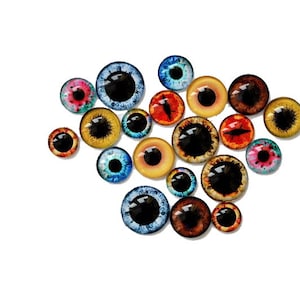 Eyes for Printing Realistic Irises Bird Eyes Bird Irises Realistic Eyes ...