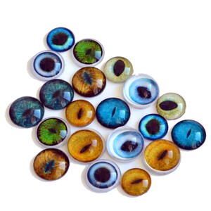 Eyes for Printing Realistic Irises Bird Eyes Bird Irises Realistic Eyes ...