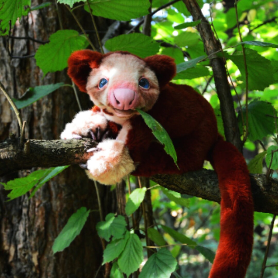 Wallaby Goodfellow. Realistic Toy. Stuffed Wallaby. Handmade - Etsy