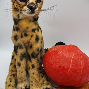 Serval Cat Sewing Pattern – Plush Toy PDF, Realistic Stuffed Animal ...