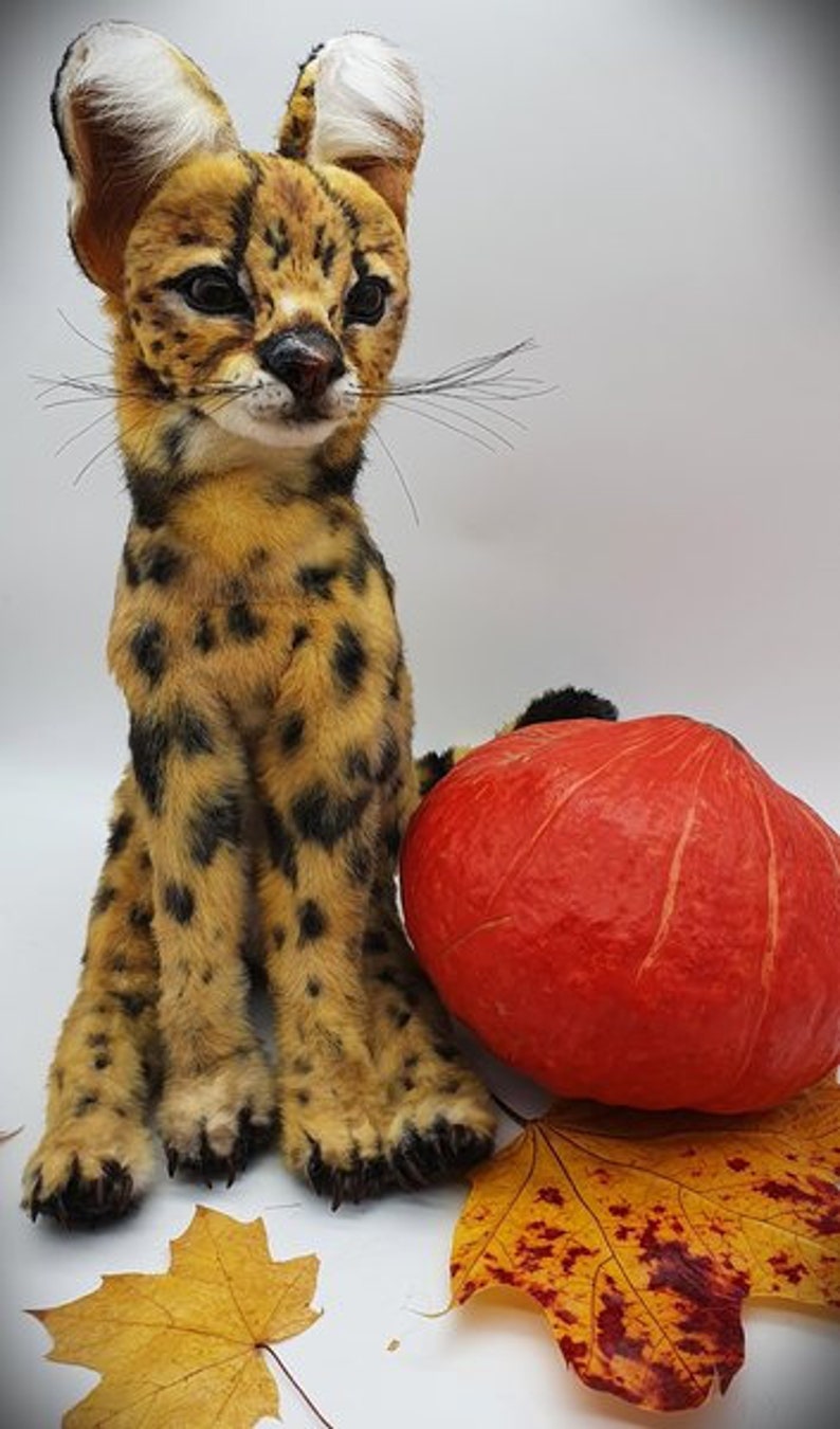 Serval Cat Sewing Pattern – Plush Toy PDF, Realistic Stuffed Animal ...