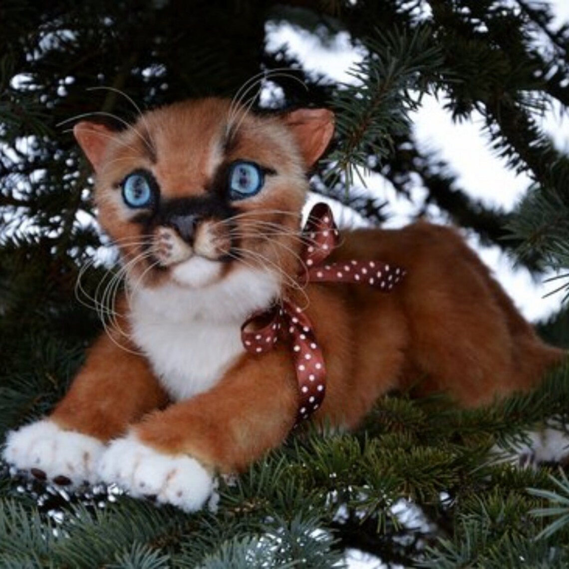 Cat Sewing Pattern Pattern Stuffed Animal Pattern Pdf-teddy - Etsy