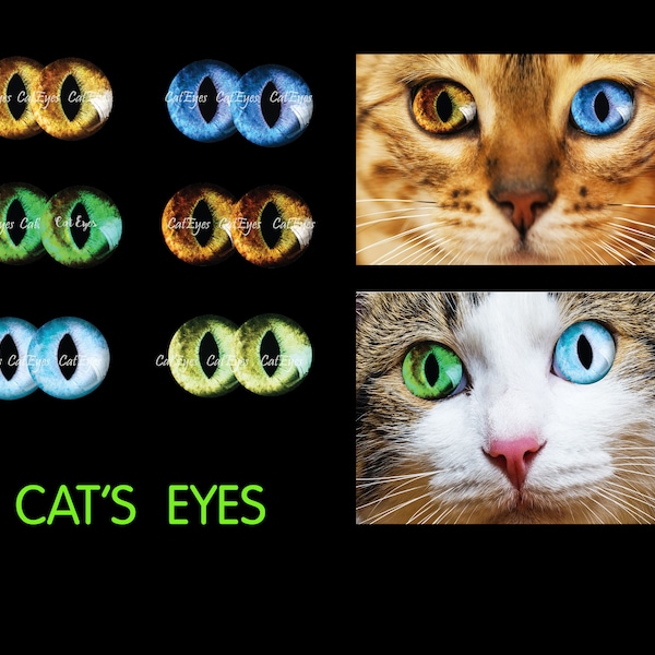 Cat's Iris - Etsy UK
