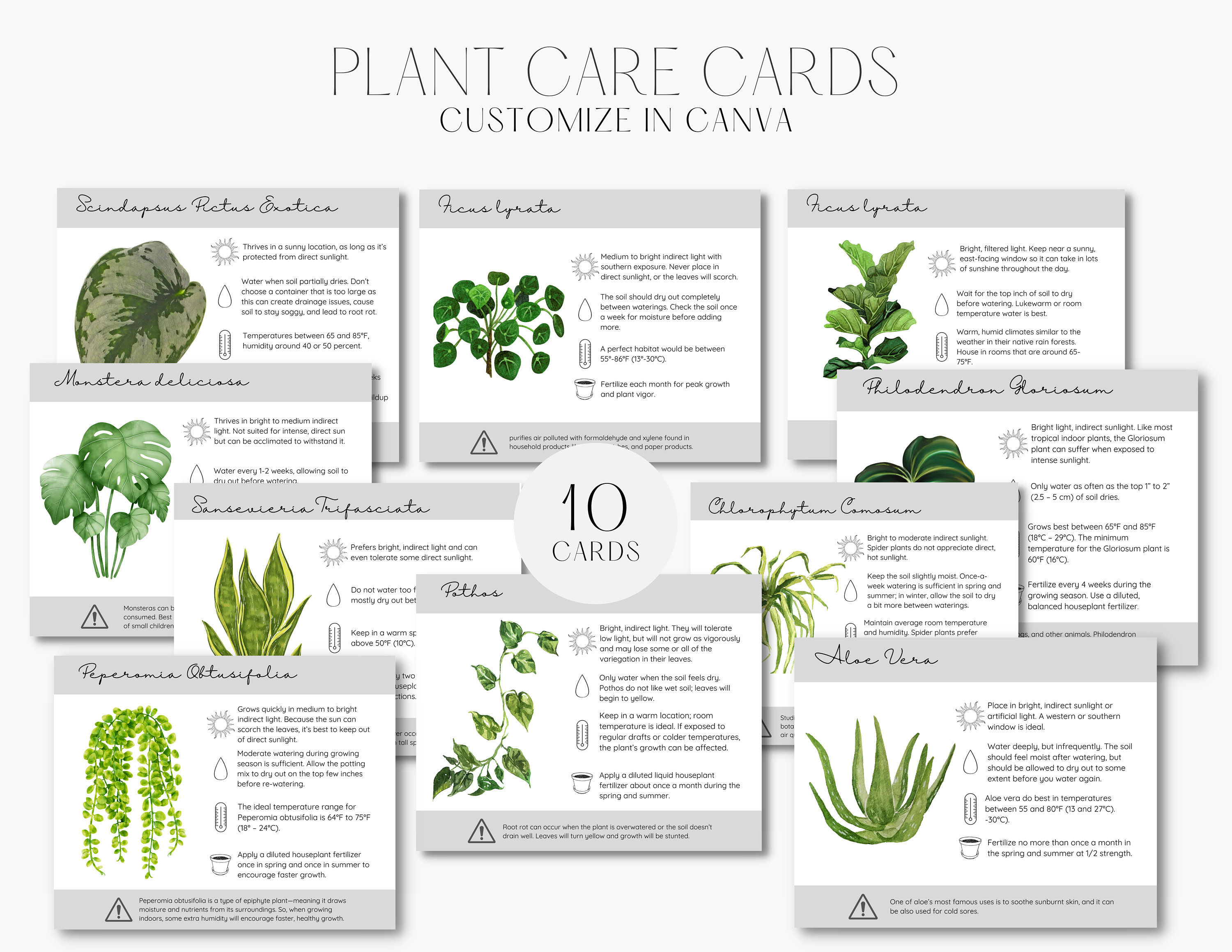 Customizable Plant Care Cards, Plant Labels, Plant Sitter Gift ...