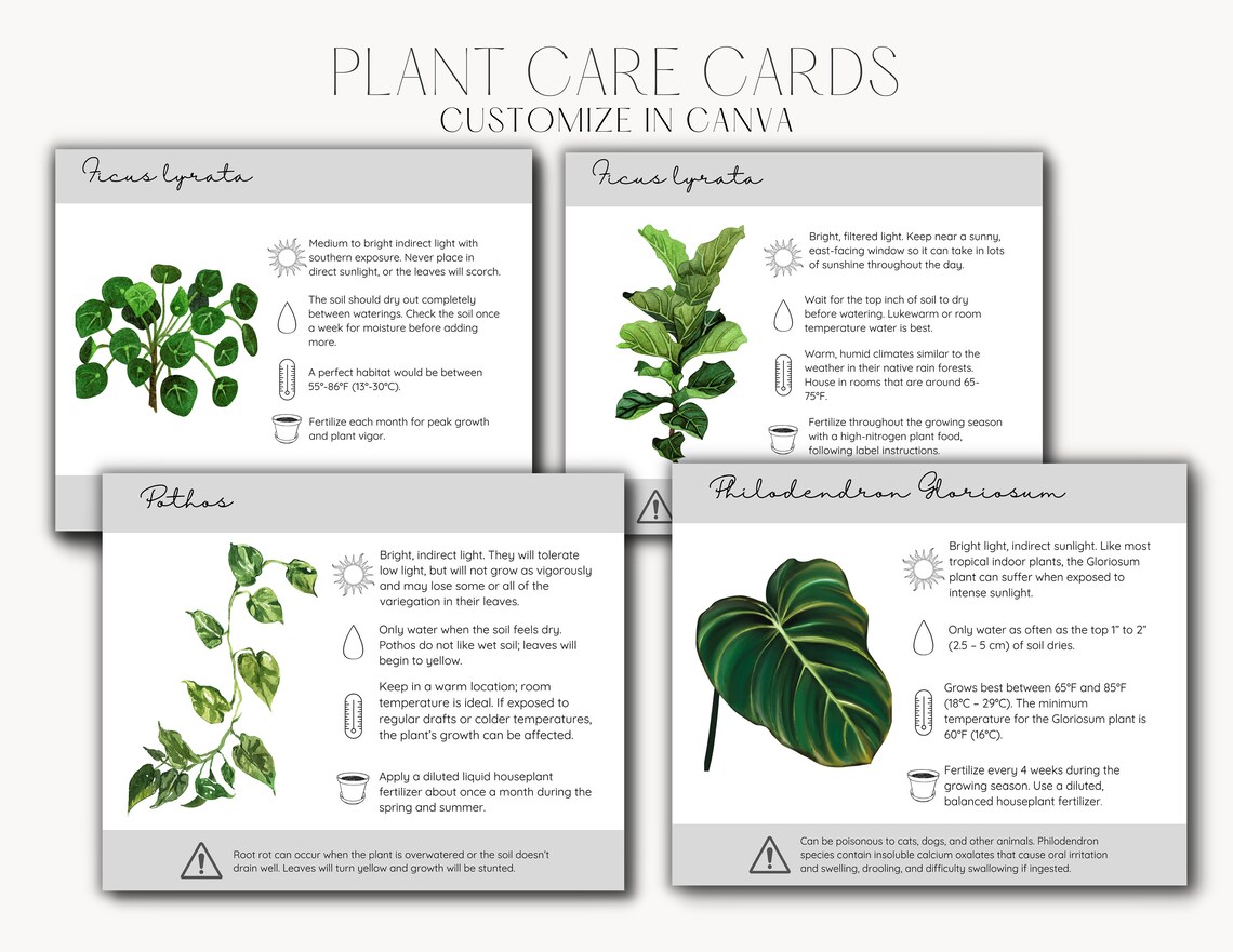 Customizable Plant Care Cards, Plant Labels, Plant Sitter Gift ...