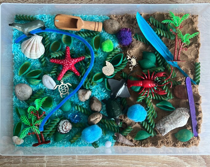 Pasta Coral Reef Coral Reef Mix sensory Bin coral Reef Pasta Under the ...