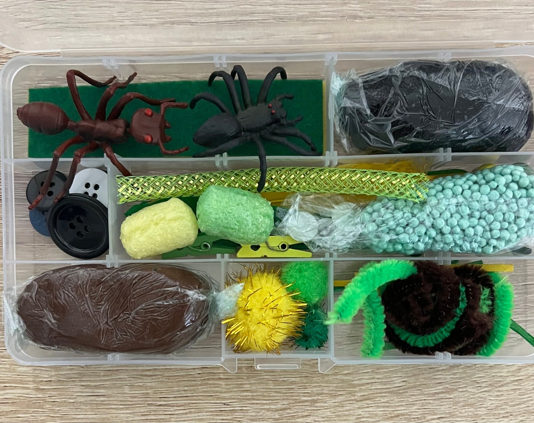 INSECT PLAYDOUGH KIT Bug Playdough Kit Sensory Box Child - Etsy