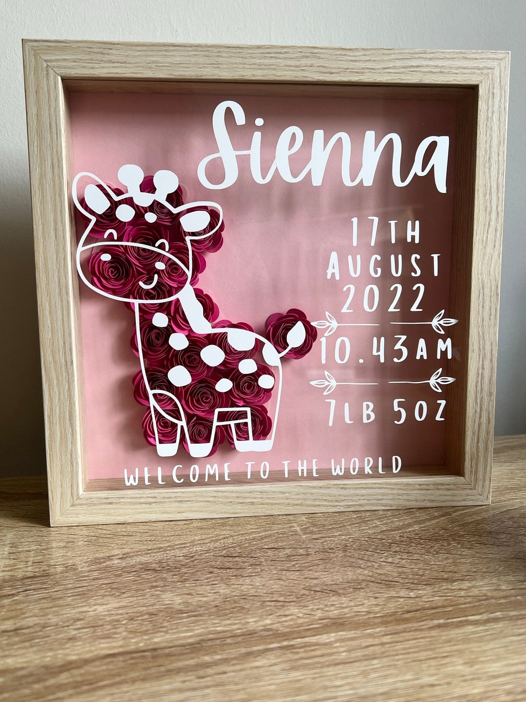 NEW BABY Nursery Decoration, Flower Shadow Box, Baby Shadow Box, Animal ...