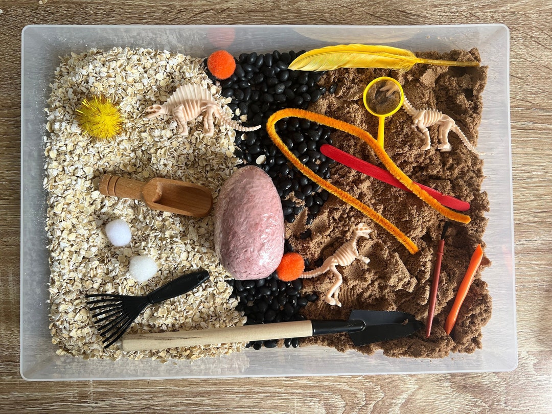 DINOSAUR EXCAVATION SENSORY Kit, Fossil Sensory Bin, Sensory Bin, Tuff ...
