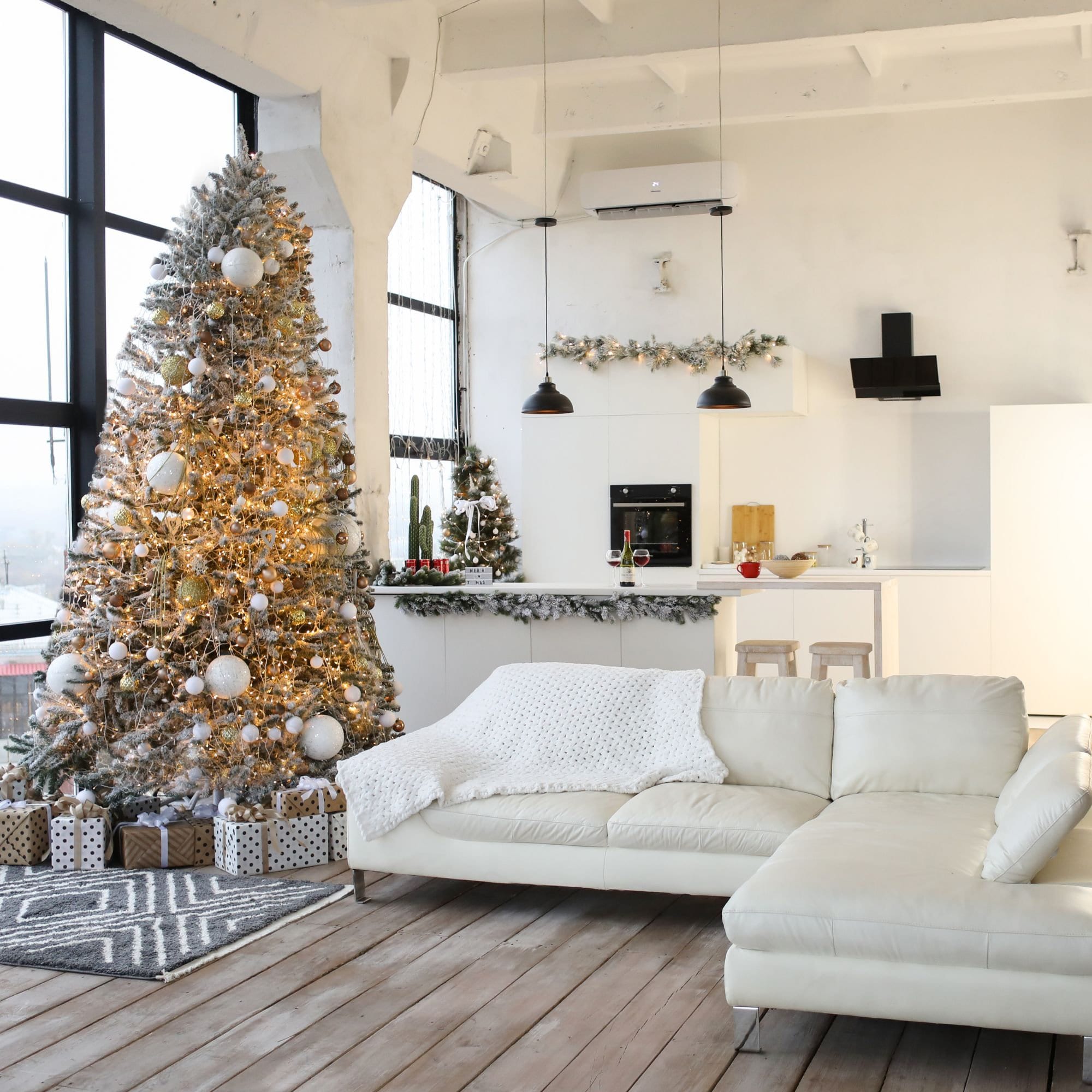 Zoom Backgrounds Christmas Home 3 Pack Trees Holiday Cheers Windows ...