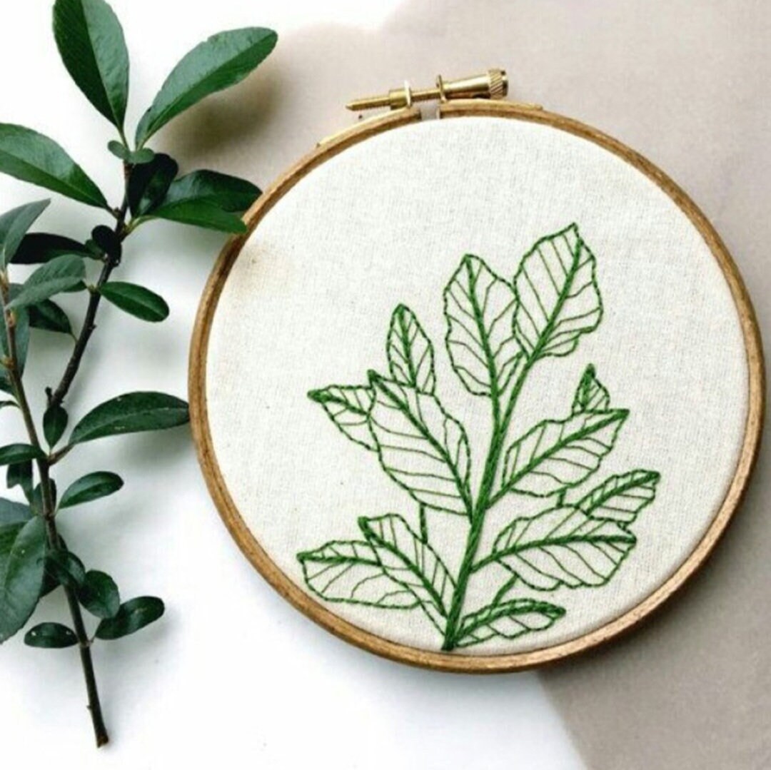 Plants Embroidery Kit for Beginner | Modern Embroidery Kit for Gift ...