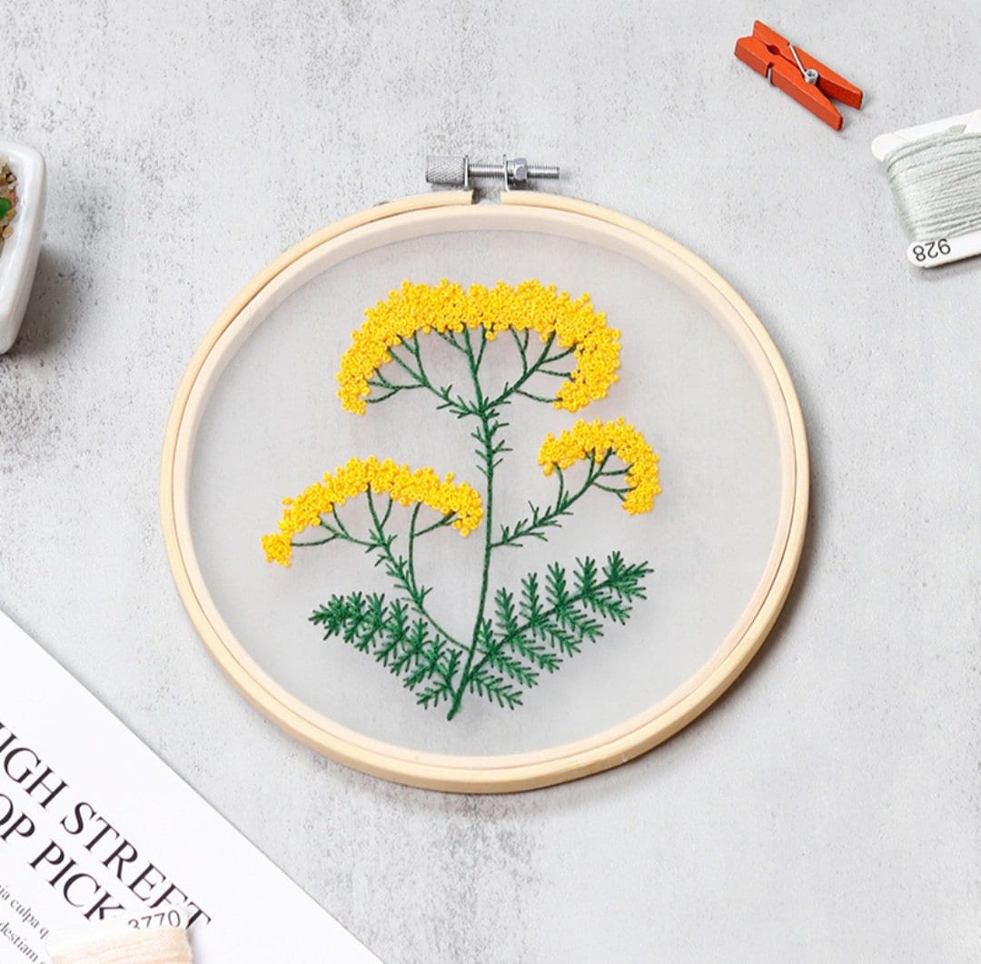 Transparent Embroidery Kit for Beginner | Modern Embroidery Kit for ...