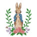 Peter Rabbit Embroidery Design, Hare Embroidery, 5 Sizes. - Etsy