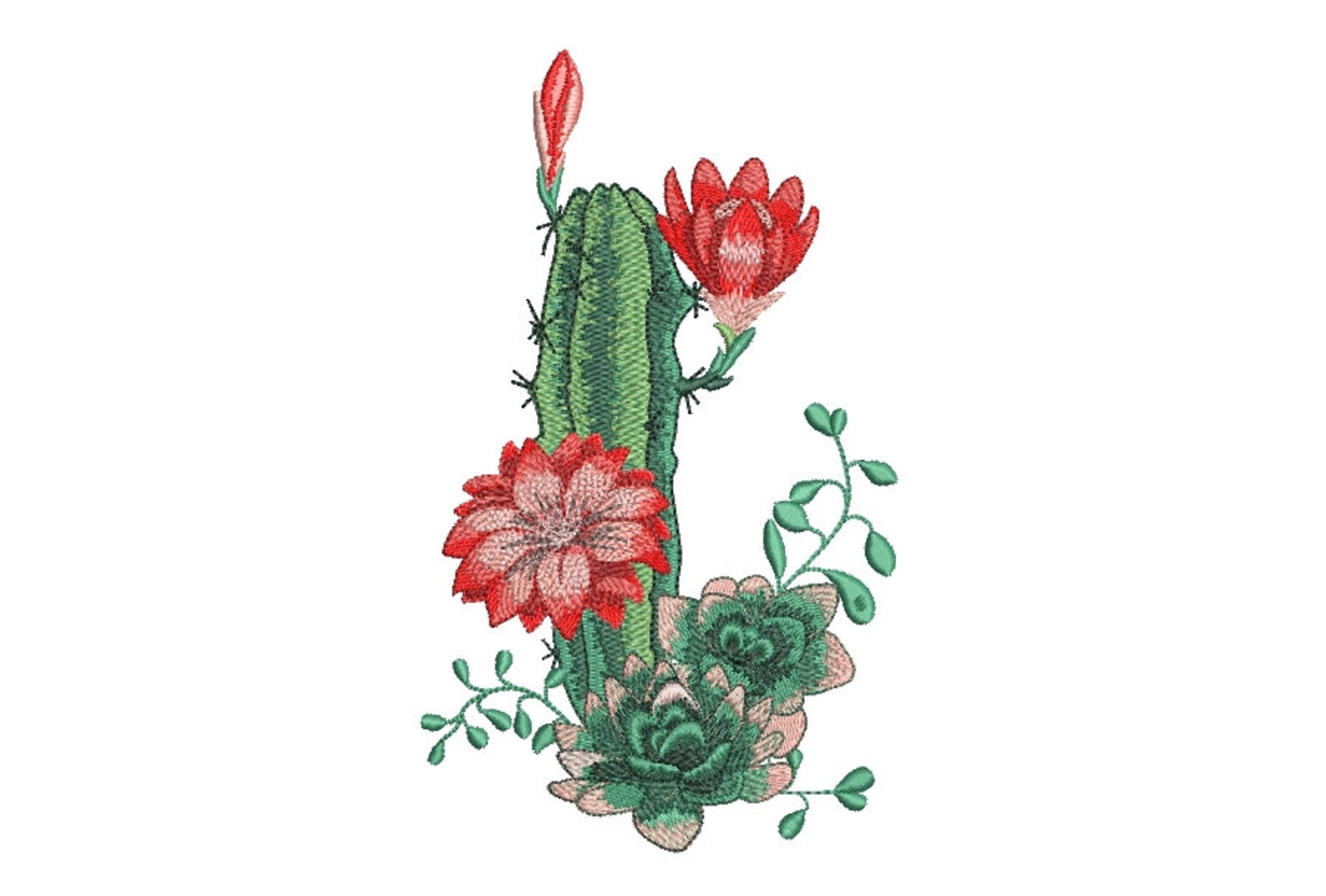 Cactus Machine Embroidery Design 4 Sizes. - Etsy