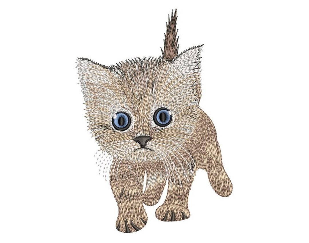 Kitten Embroidery Design, 4 Sizes, Instant Download. - Etsy