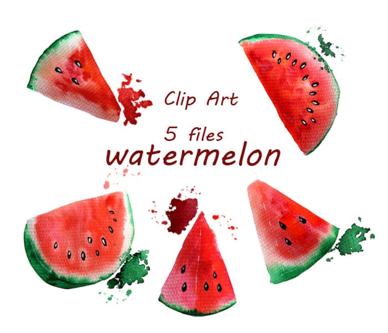 Watermelon Clip Art Watercolor, Watermelon Digital, Watermelon ...