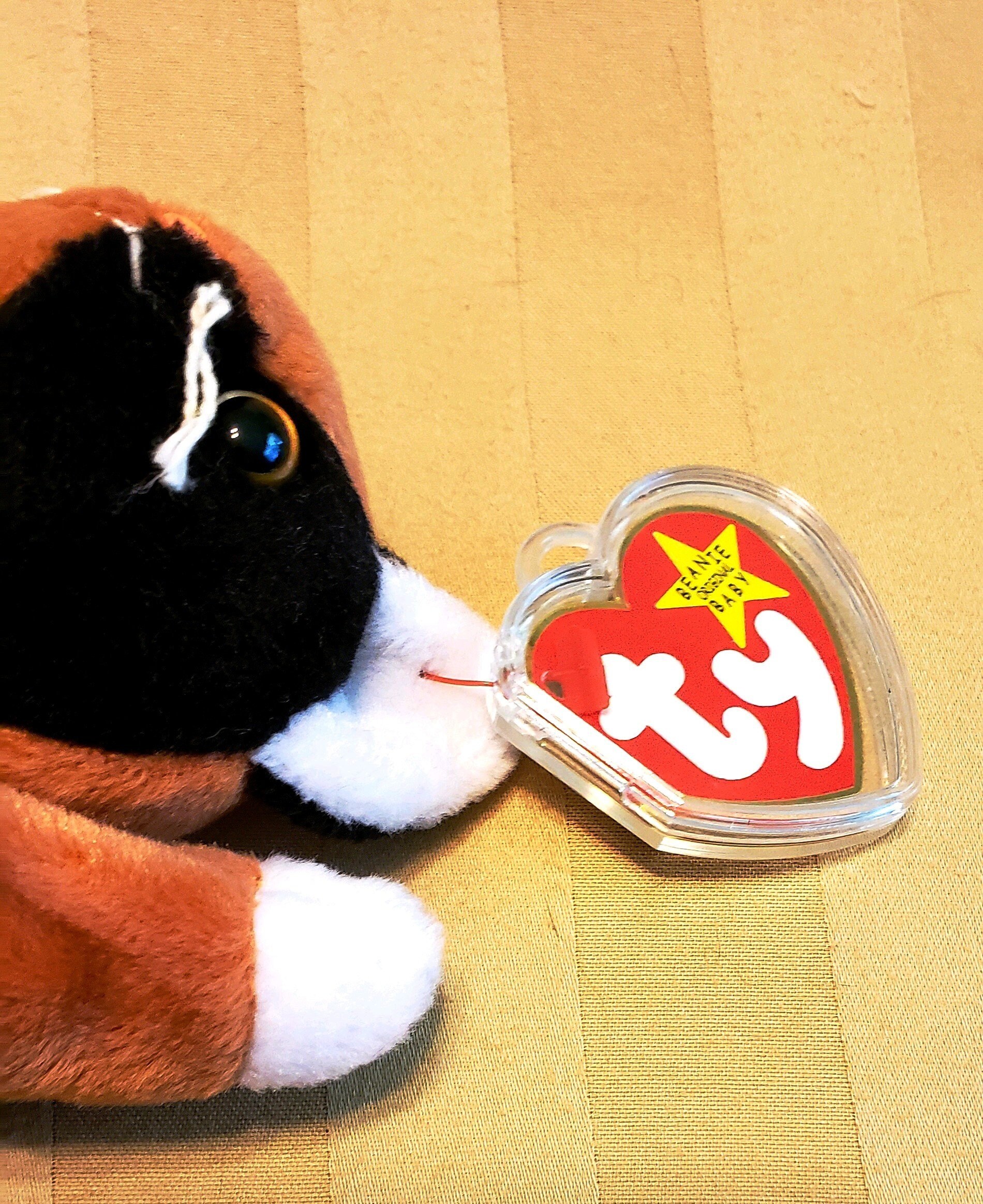 Chip the Cat Beanie Baby - Etsy