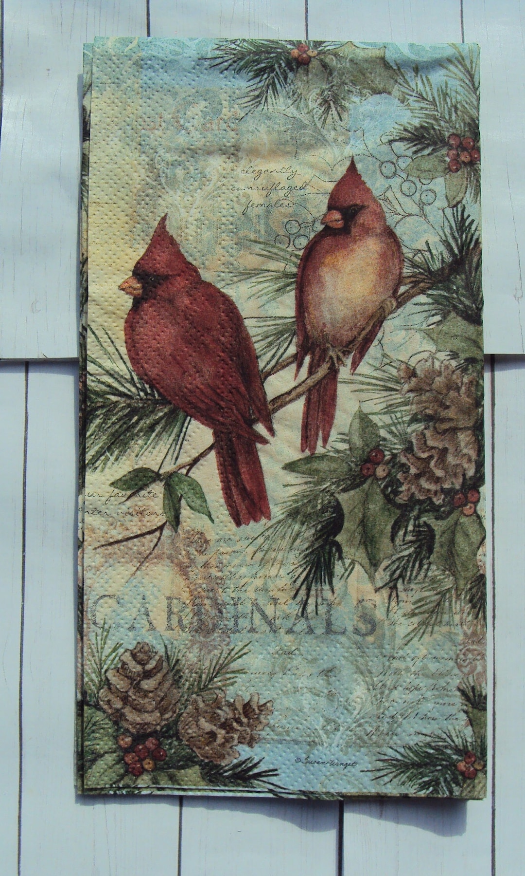 Decoupage Napkins, 2 Cardinals Field Guide Paper Guest Napkins by Susan ...