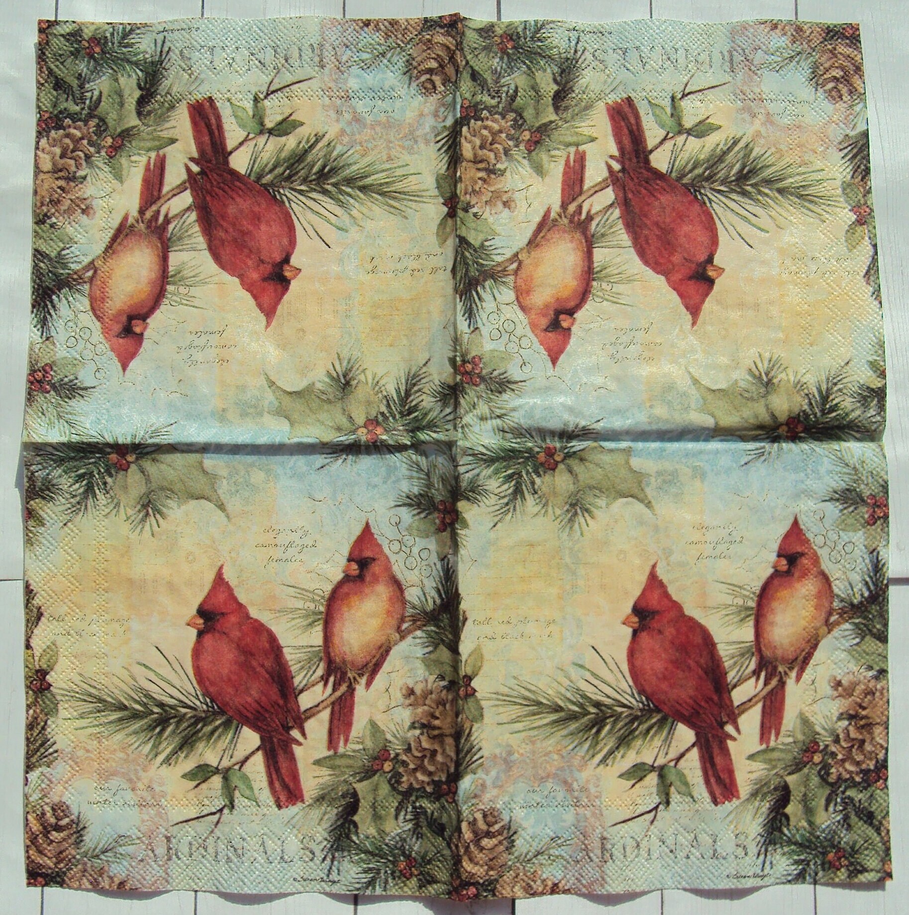 2 Decoupage Napkins Cardinals Field Guide Paper Cocktail - Etsy