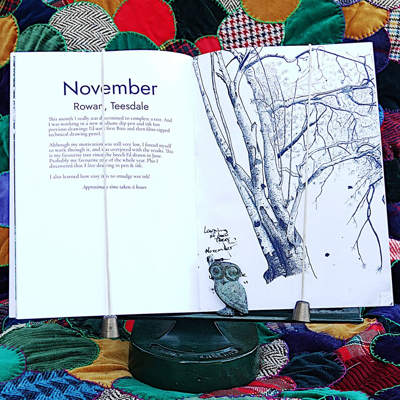 Learning to Draw Trees Book by Dan Sumption - Etsy