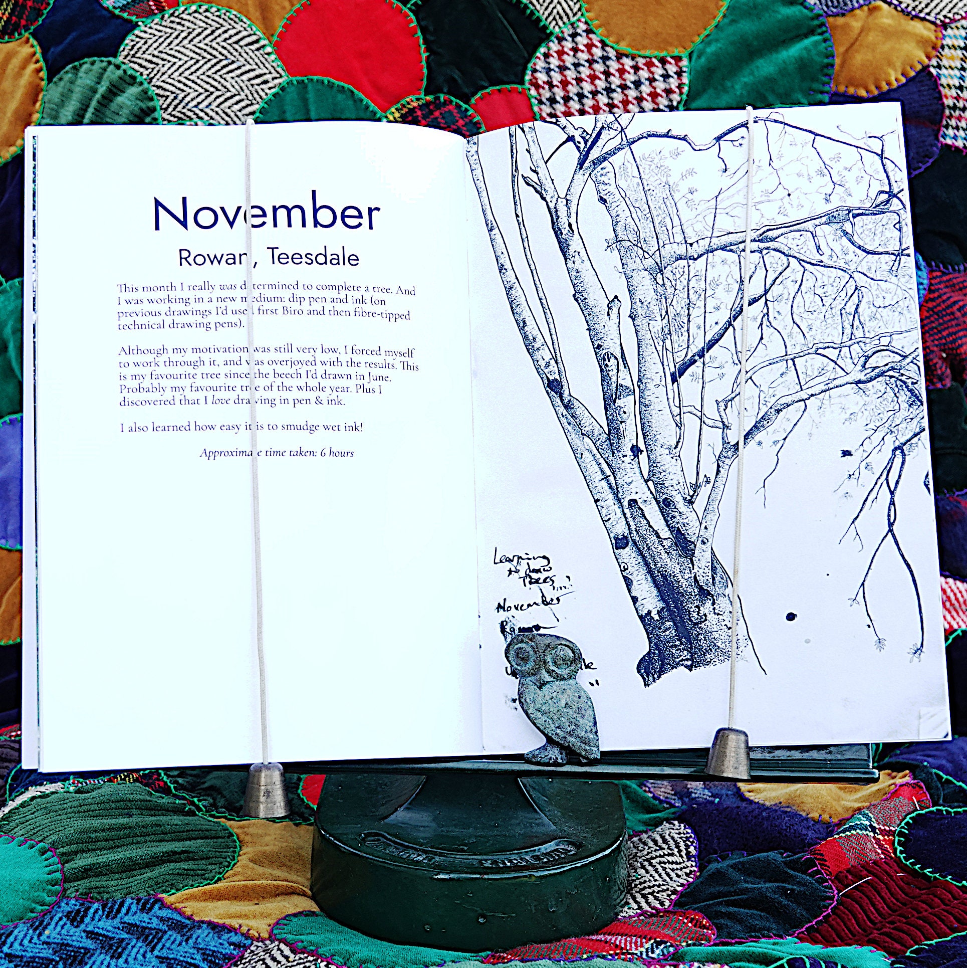 Learning to Draw Trees Book by Dan Sumption - Etsy