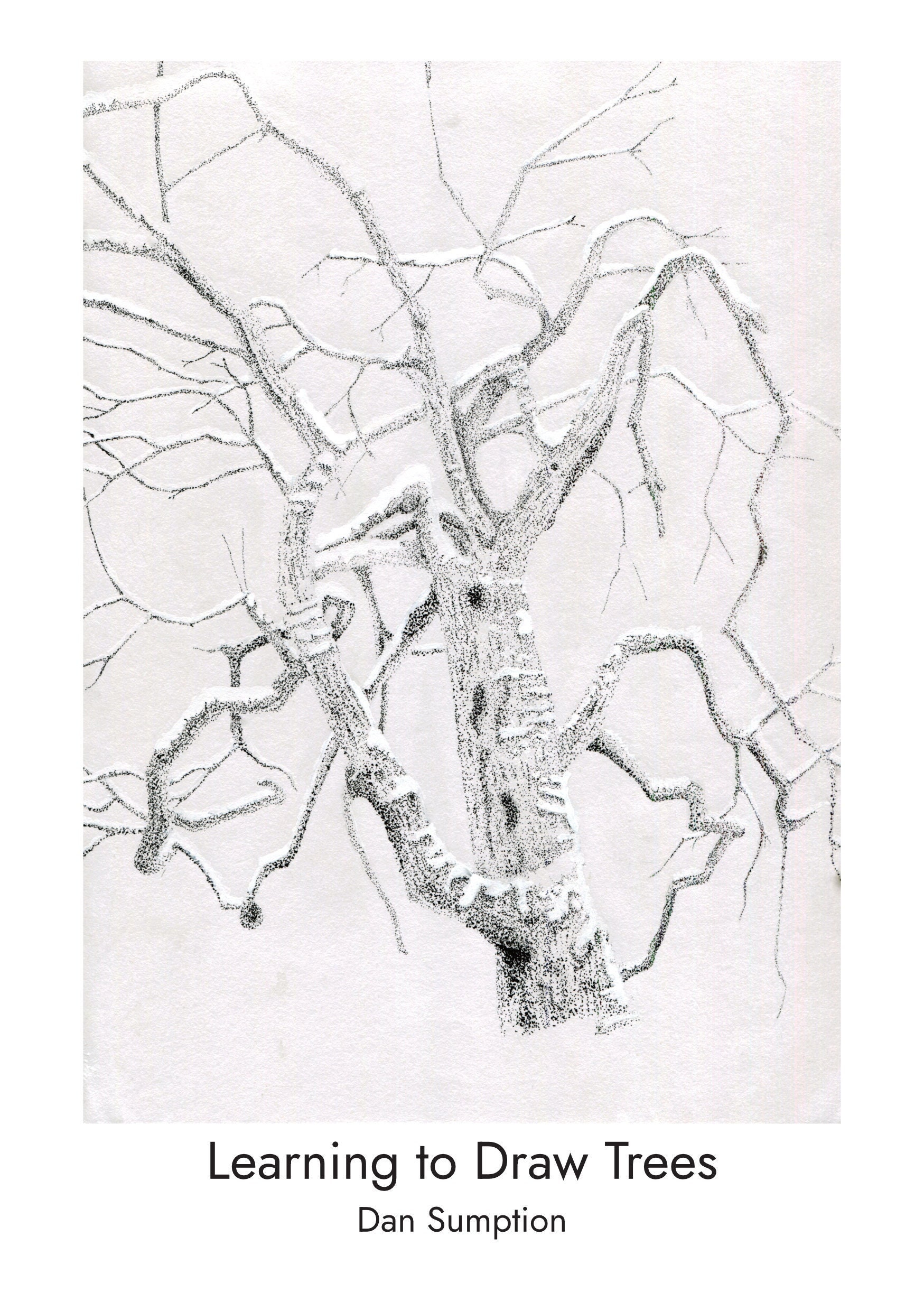 Learning to Draw Trees Book by Dan Sumption - Etsy