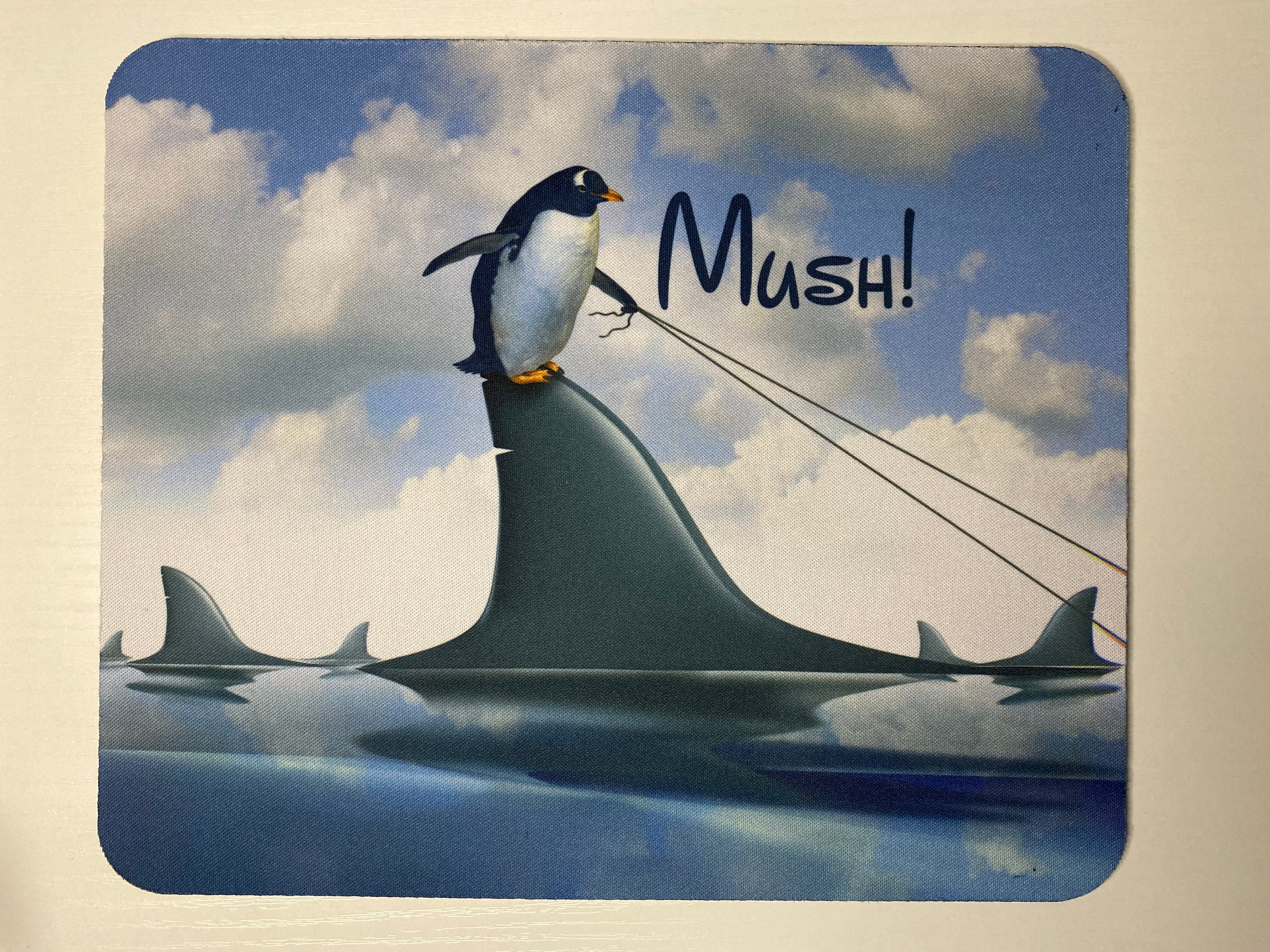 Shark Vs Penguin