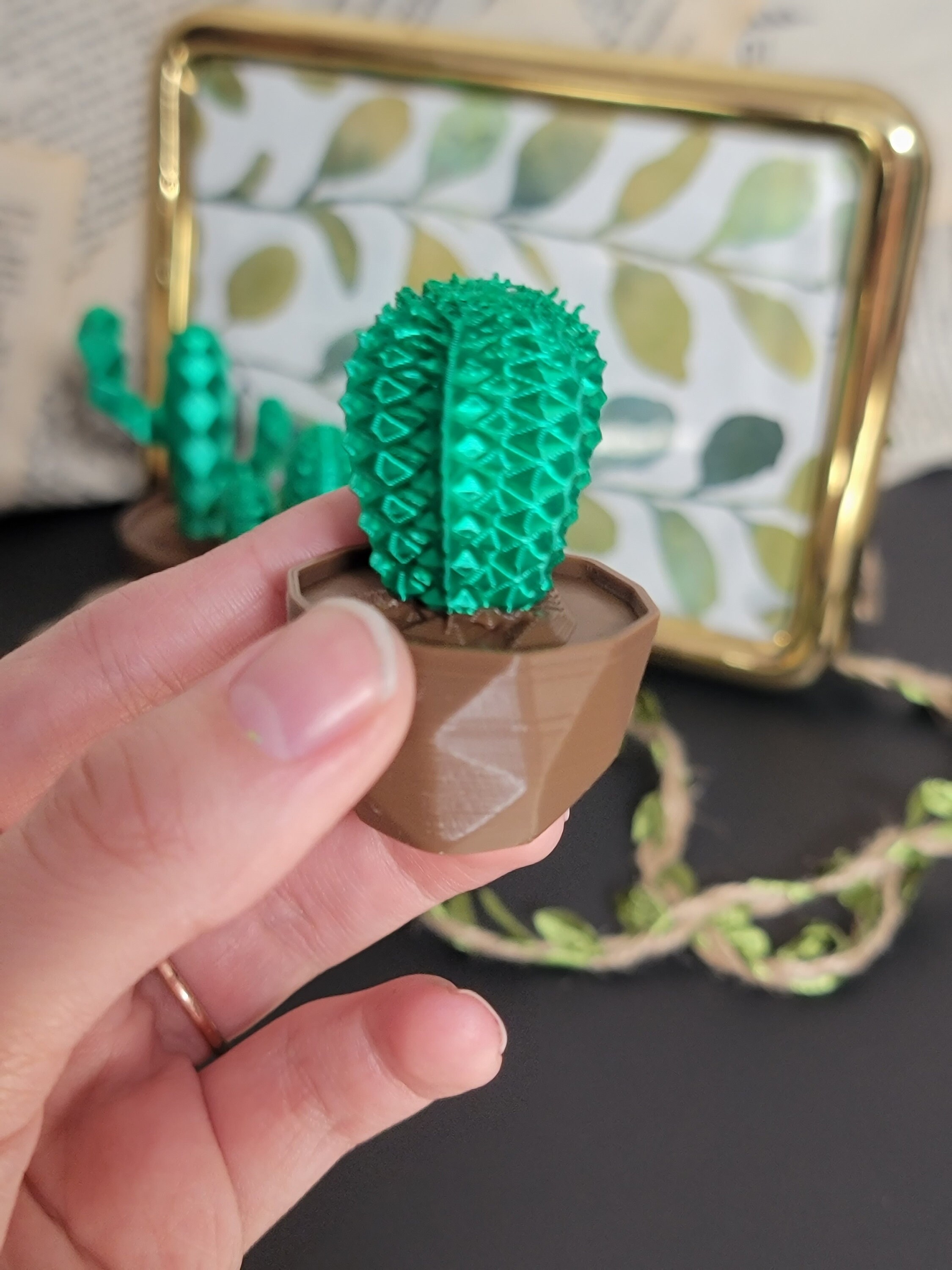 3D Printed Cactus - Etsy