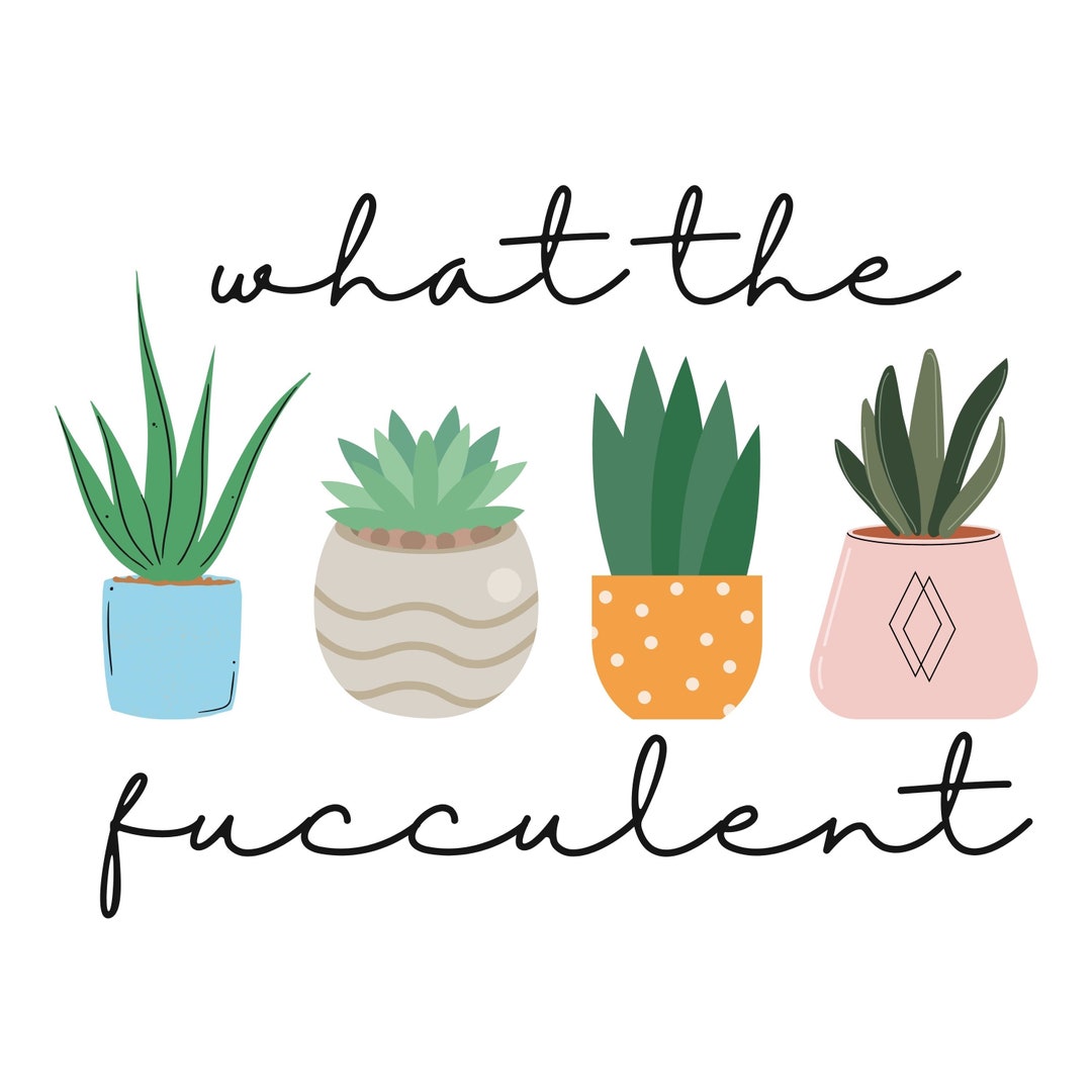 What the Fucculent PNG, Succulent PNG, Cactus PNG, Plants Png, Garden ...