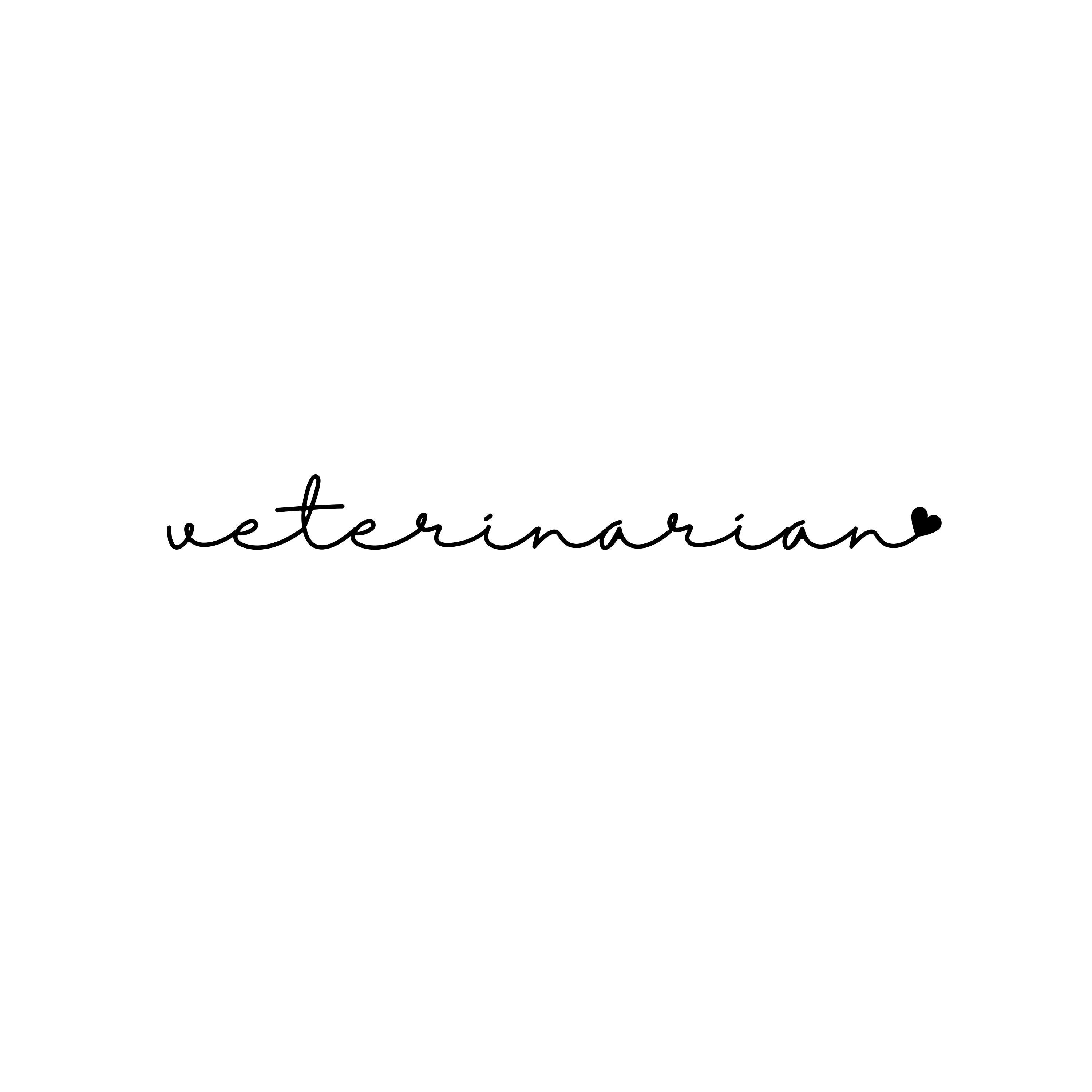 Veterinarian Script Word PNG, Digital File, Occupation, Popular ...