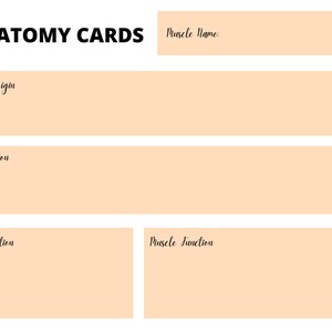 Muscle Anatomy Cards - Etsy