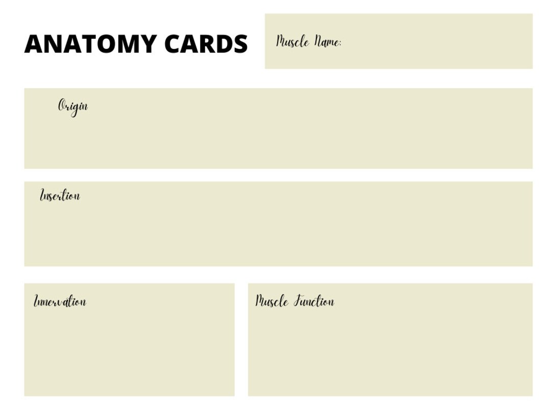 Muscle Anatomy Cards - Etsy