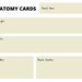 Muscle Anatomy Cards - Etsy
