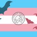 Trans Transgender Pride Flag Halloween Digital Computer Wallpaper - Etsy