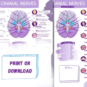 Cranial Nerves & Functions Worksheet Template-student Nurse Review ...