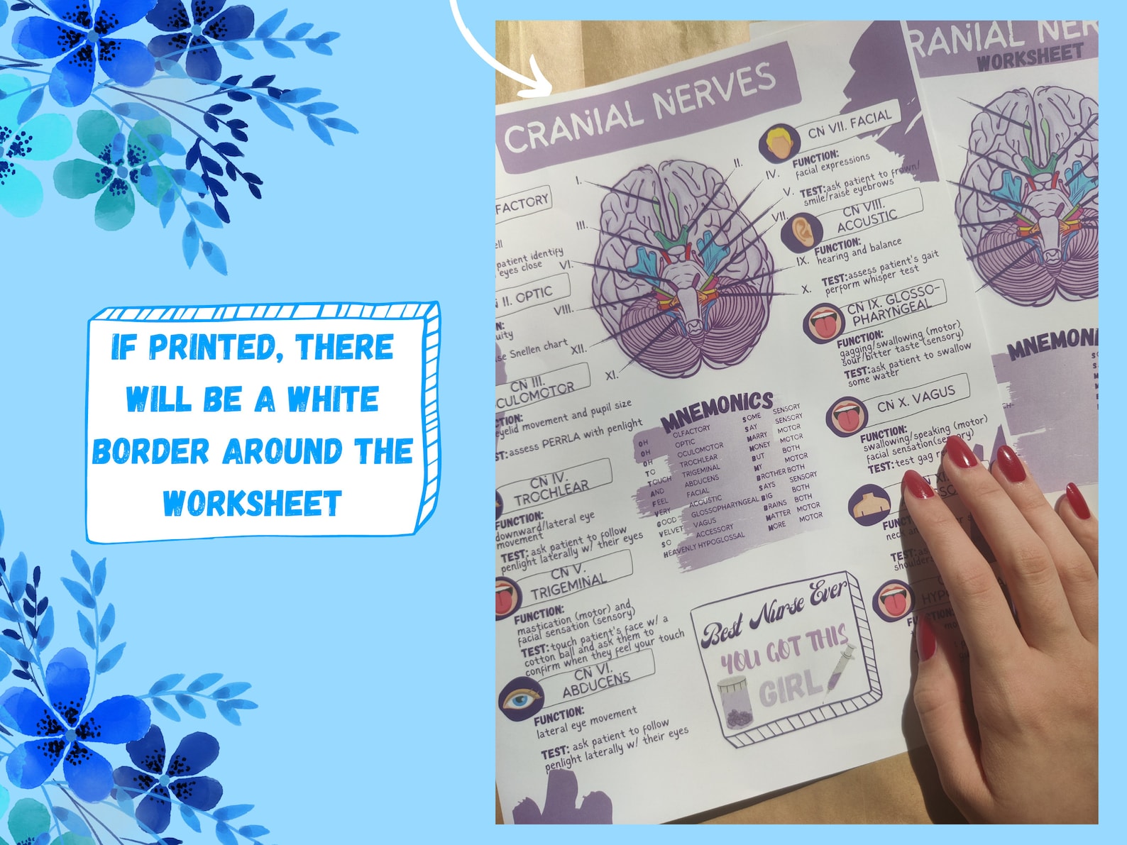 Cranial Nerves & Functions Worksheet Template-student Nurse Review ...