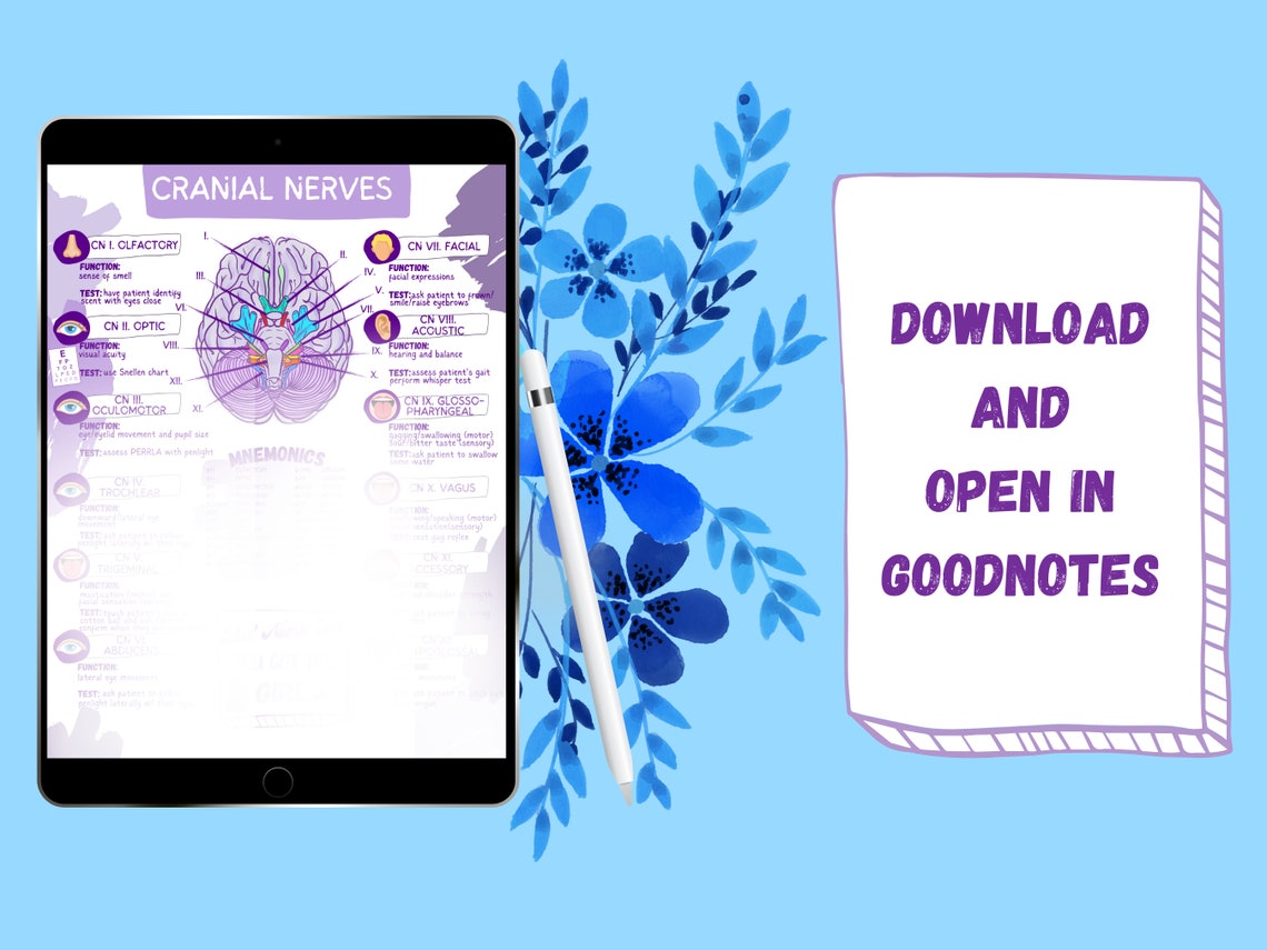 Cranial Nerves & Functions Worksheet Template-student Nurse Review ...