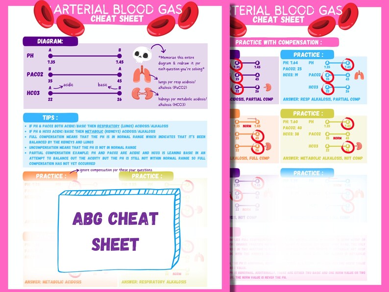 ABG Acid Base Gas Arterial Blood Gases Abgs Acid-base Balance Worksheet ...