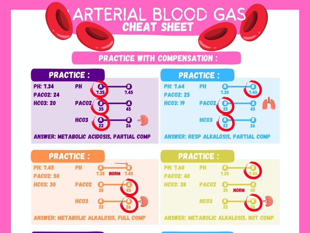 Arterial Blood Gases abgs Acid-base Balance Worksheet - Etsy
