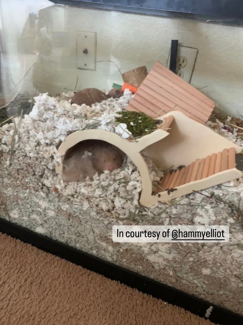 Hamster Watchbox Underground Tunnel Hideout House Home for - Etsy UK