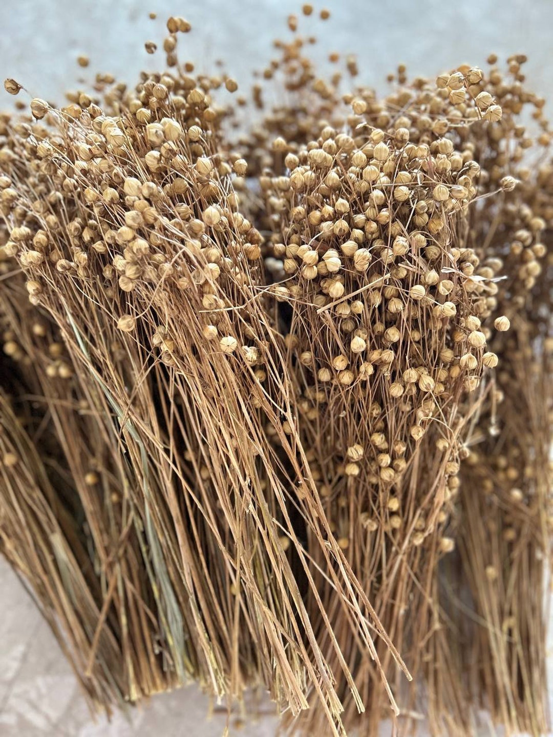 Flax Spray for Hamsters Gerbil Birds Treat Foraging Snack - Etsy Canada