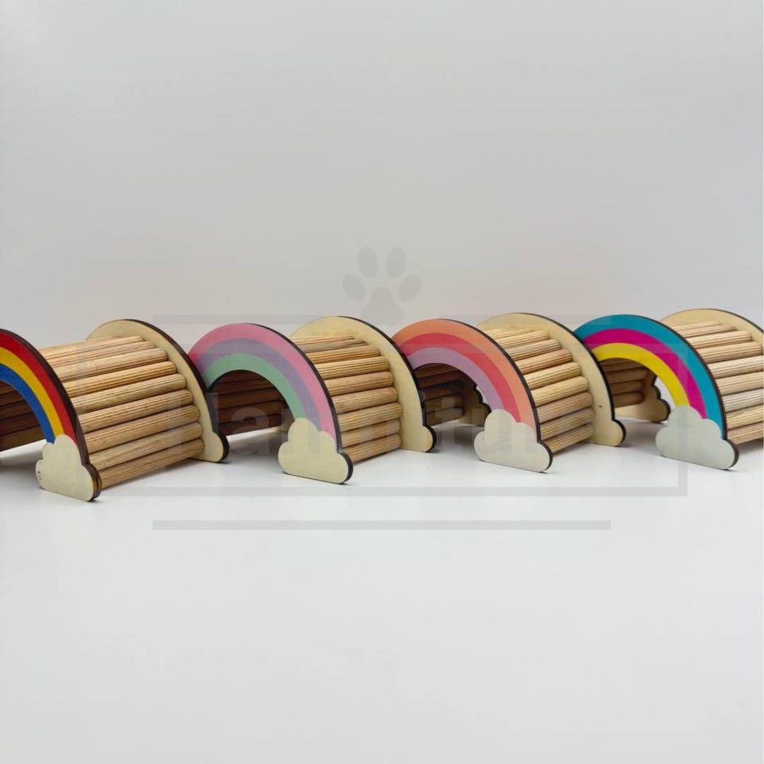 Rainbow Hamster Bridge – Safe Wooden Alternative to Bendy Bridge ...