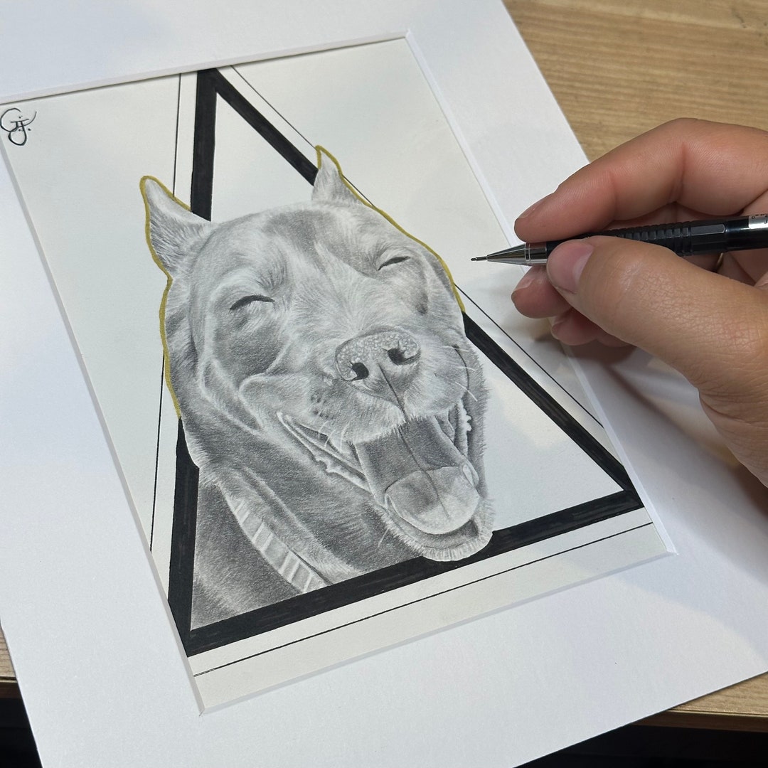 Custom Graphite Pet Drawing - Etsy