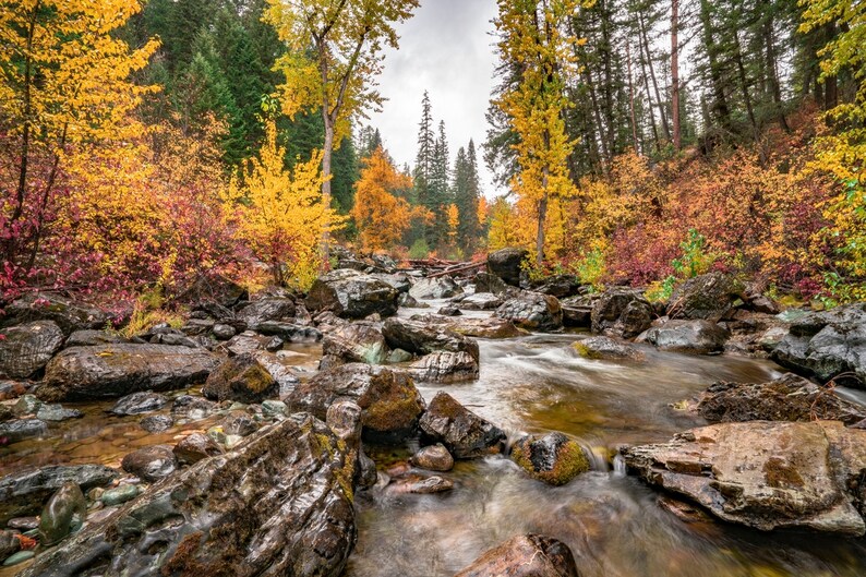 Fall Desktop Wallpaper/desktop Icons/desktop/desktop Background/desktop ...