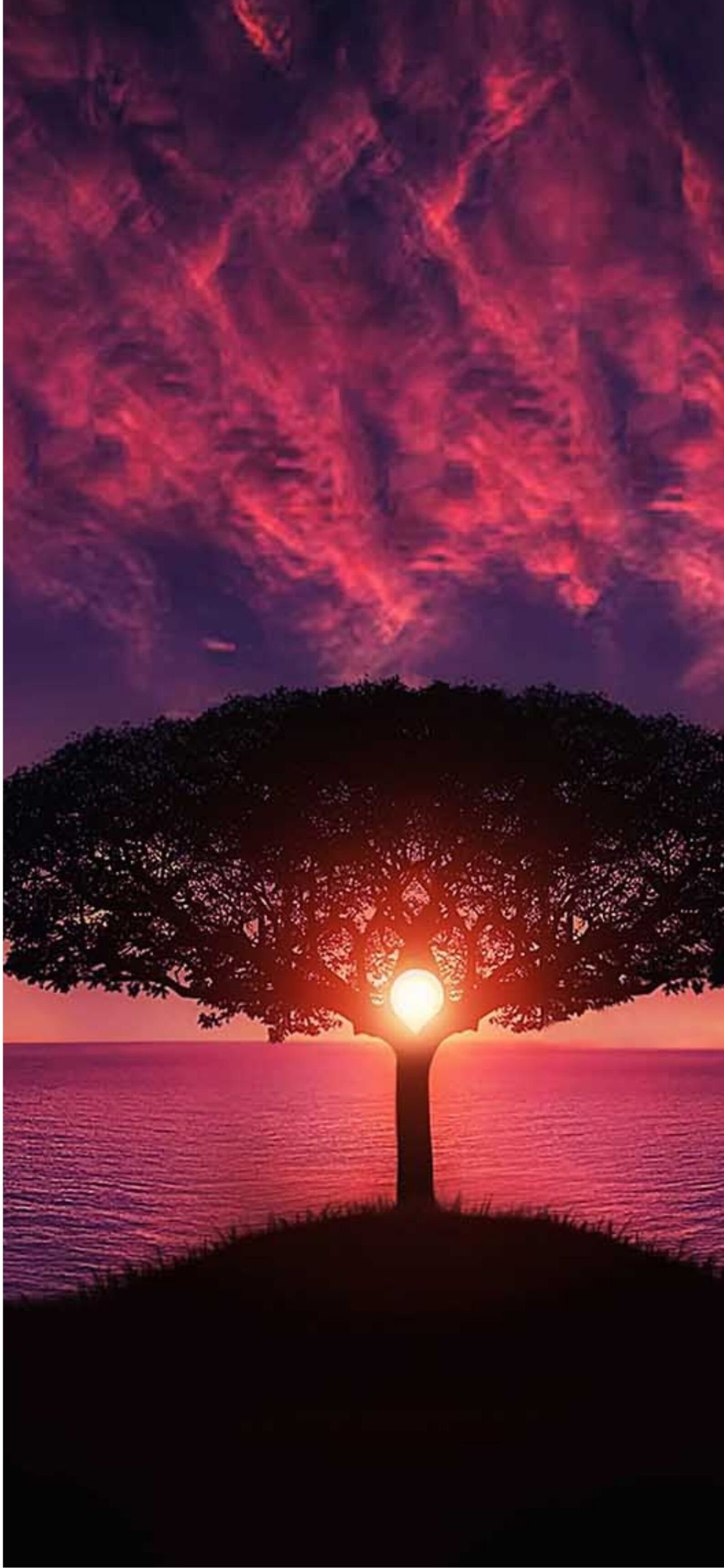 All About the Trees iPhone 13 Pro Max Wall Paper - iPhone Wallpaper ...