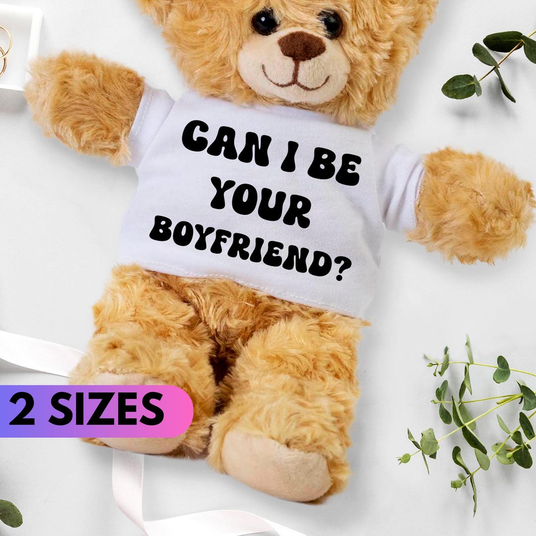 Can I Be Your Boyfriend Stuffed Animal Gift, Custom Relationship ...